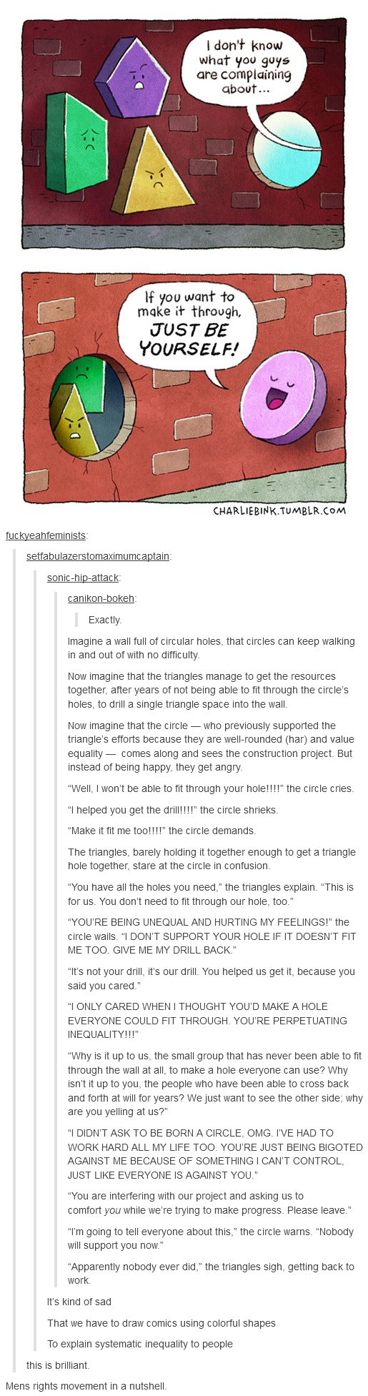 Men’s Rights Movement – Feminist Elizabethan